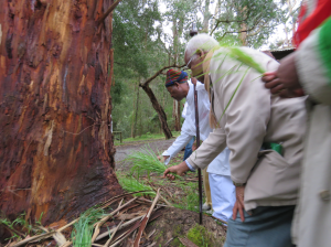 In a Quiet Home, a Community’s Heart Beats: Oromo Tradition Honors an ...